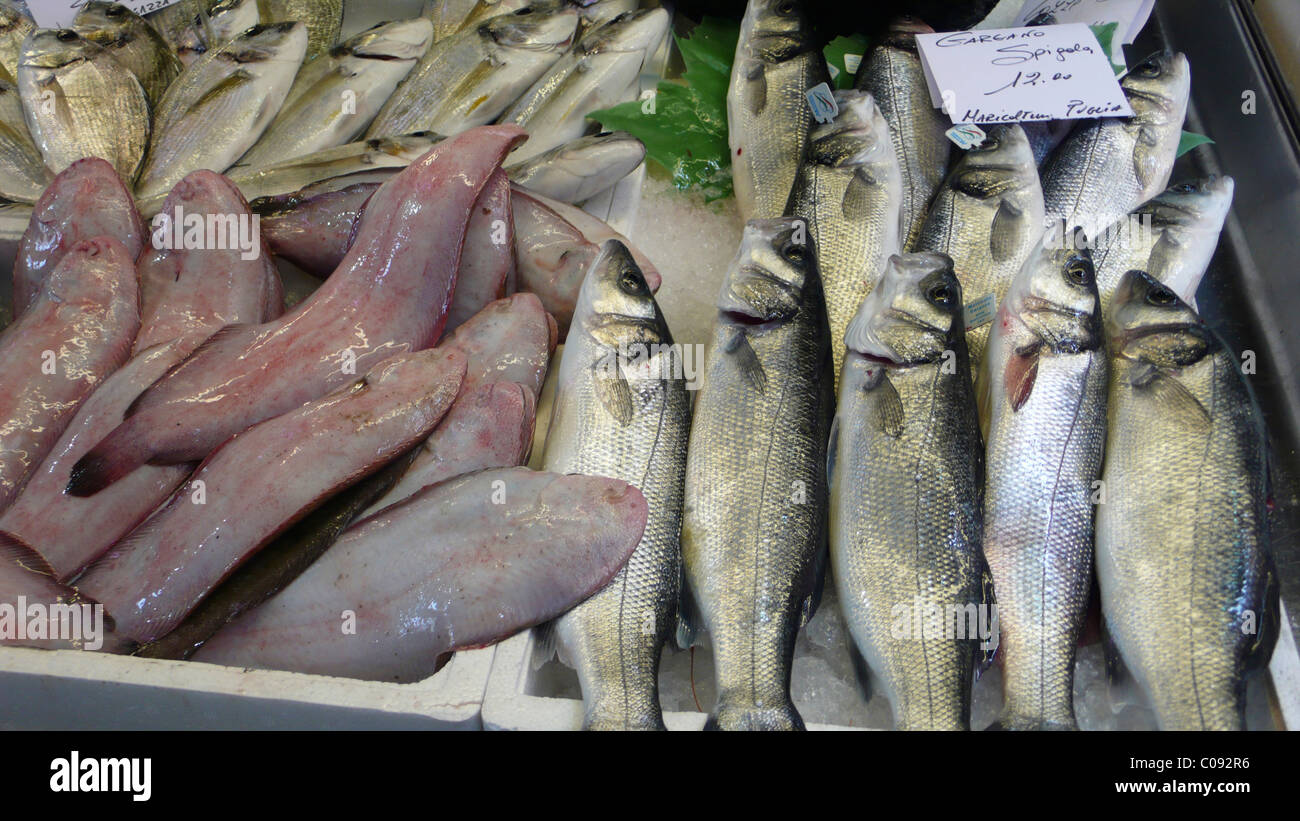 Fish on sale in the fish markets of Venice Stock Photo - Alamy