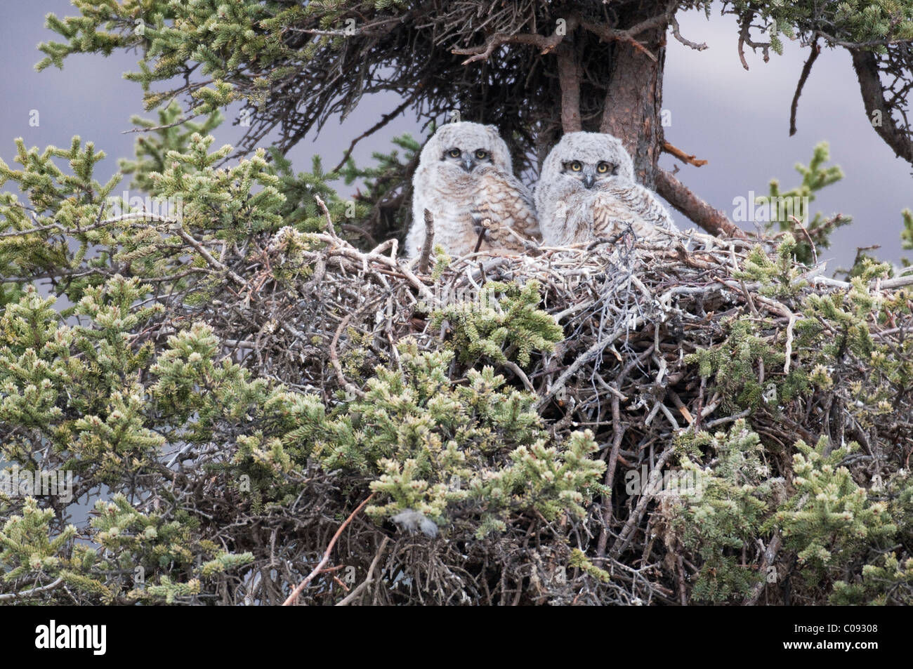 Great quantity hi-res stock photography and images - Alamy