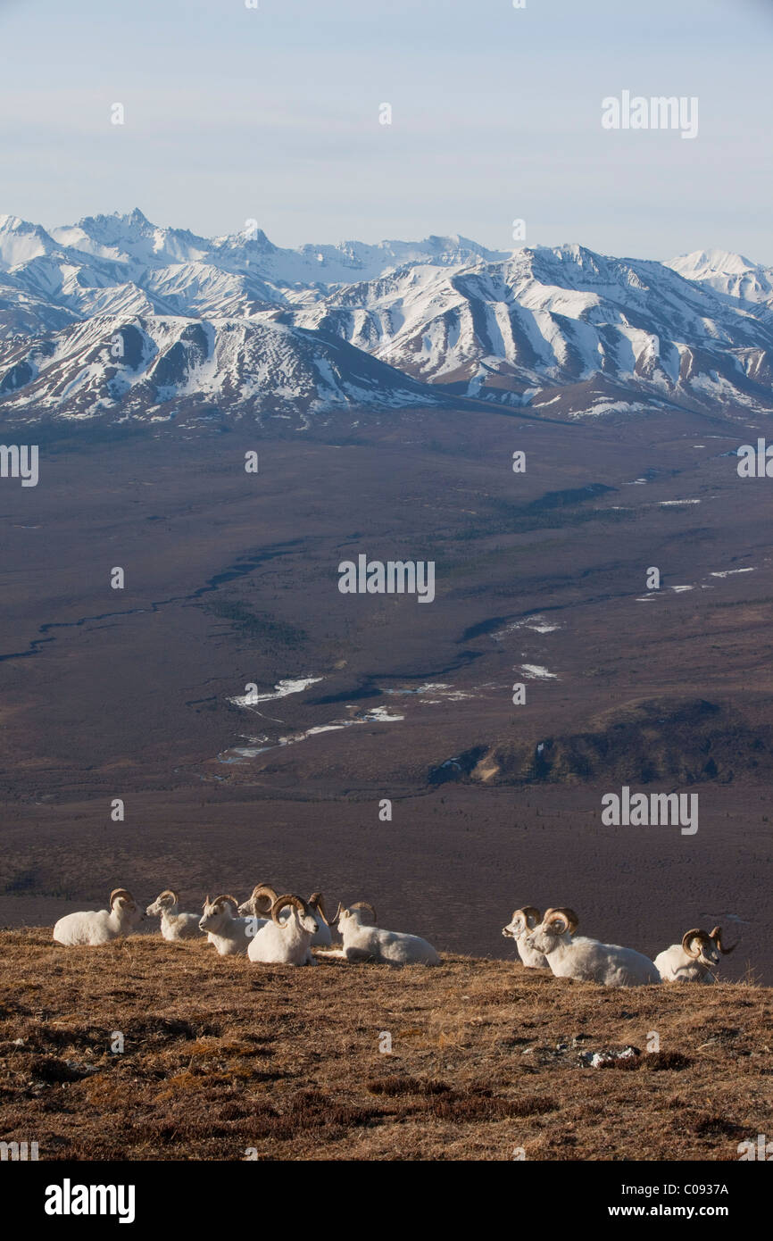Ram range hi-res stock photography and images - Alamy