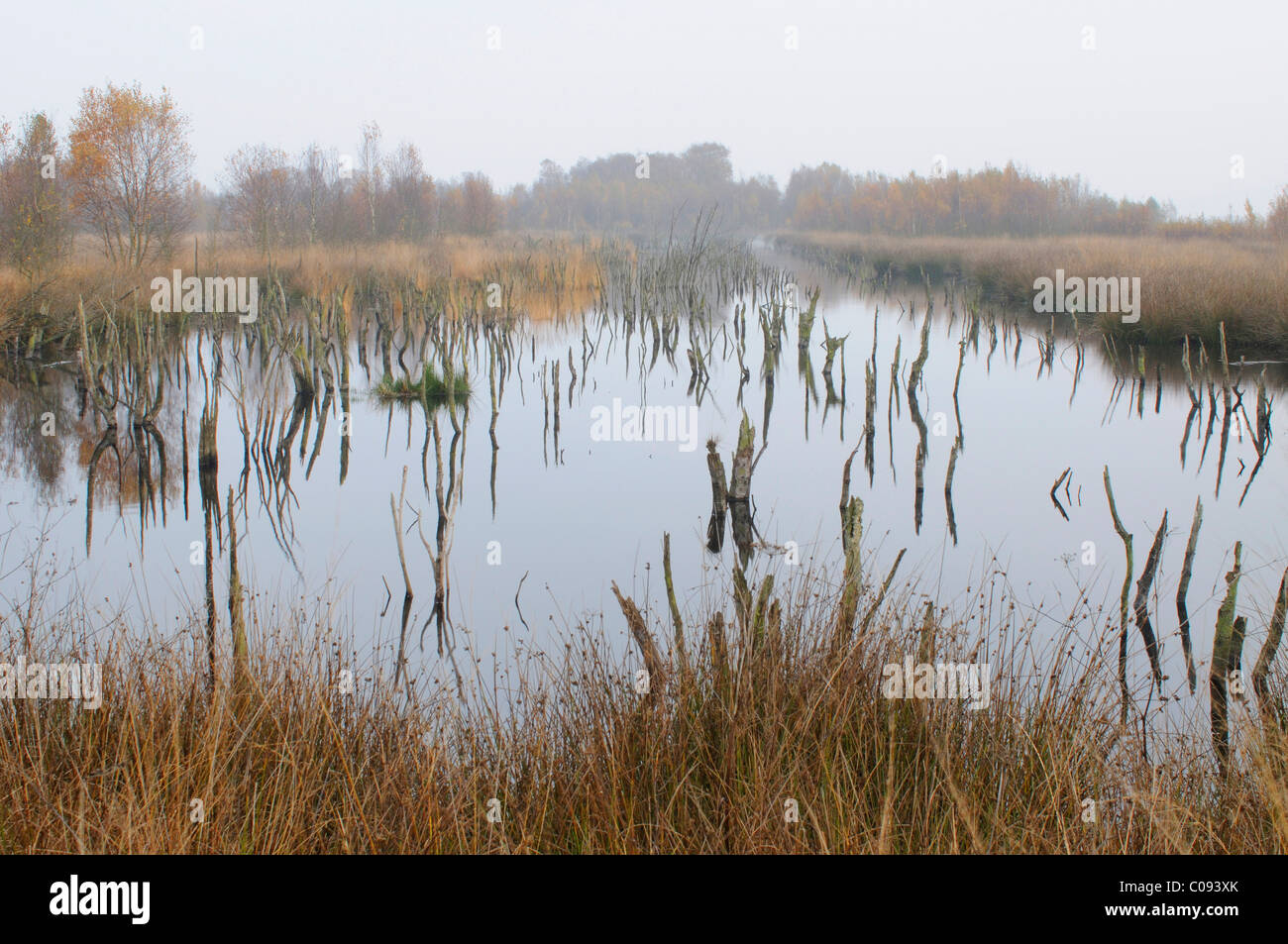 Raised in europe hi-res stock photography and images - Alamy