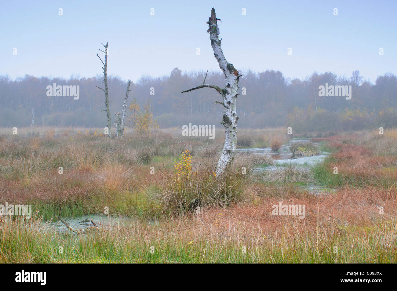 Raised areas hi-res stock photography and images - Alamy