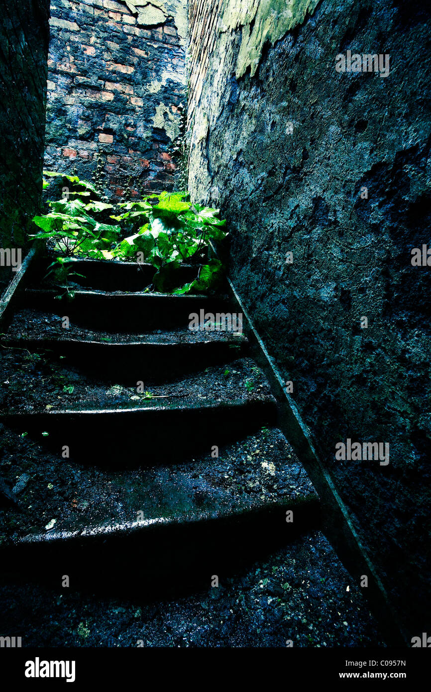 Eerie steps in a derelict building Stock Photo - Alamy