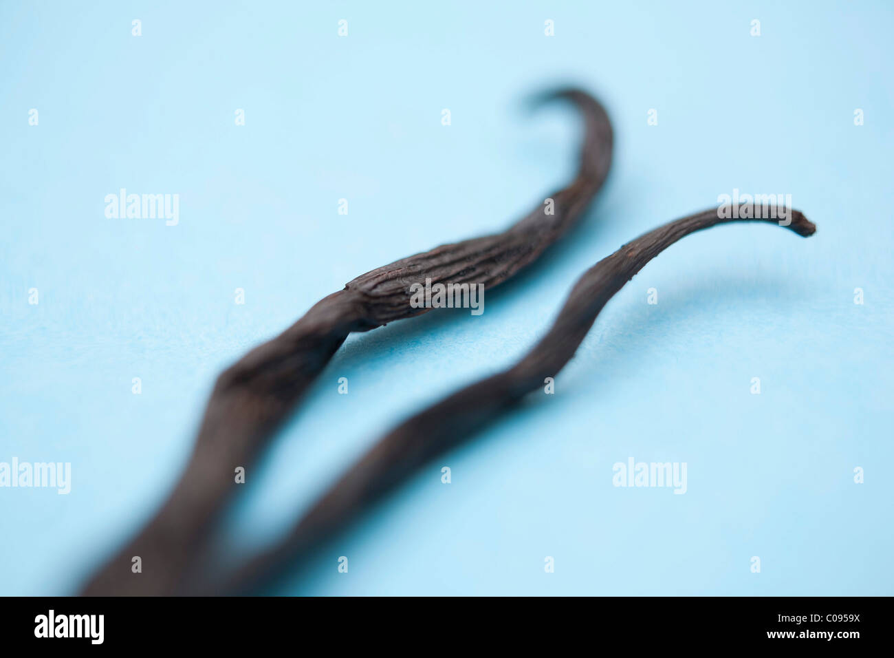Two vanilla pods hi-res stock photography and images - Alamy