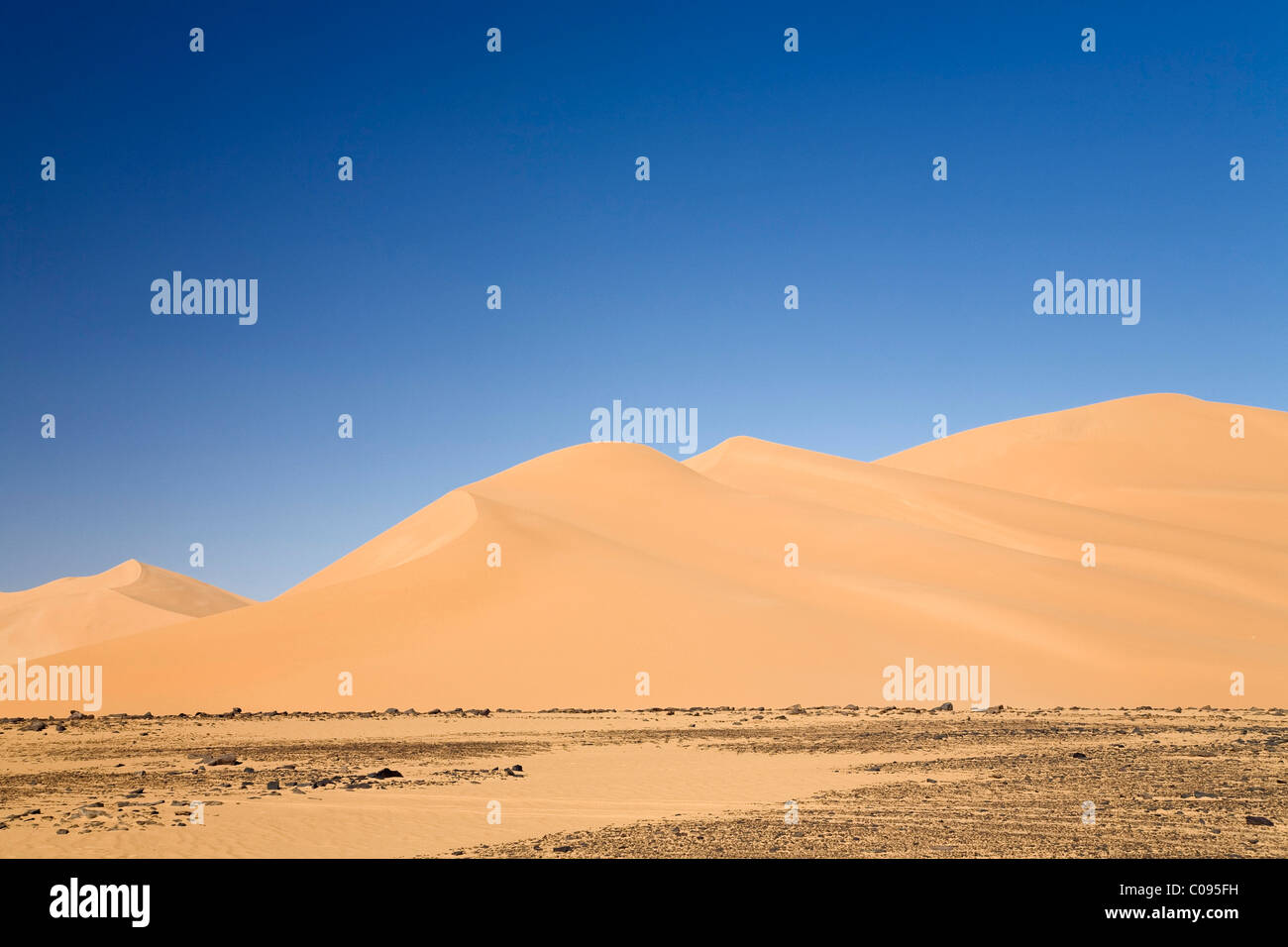 Sand dunes in the Libyan Desert, Sahara, Libya, North Africa, Africa ...