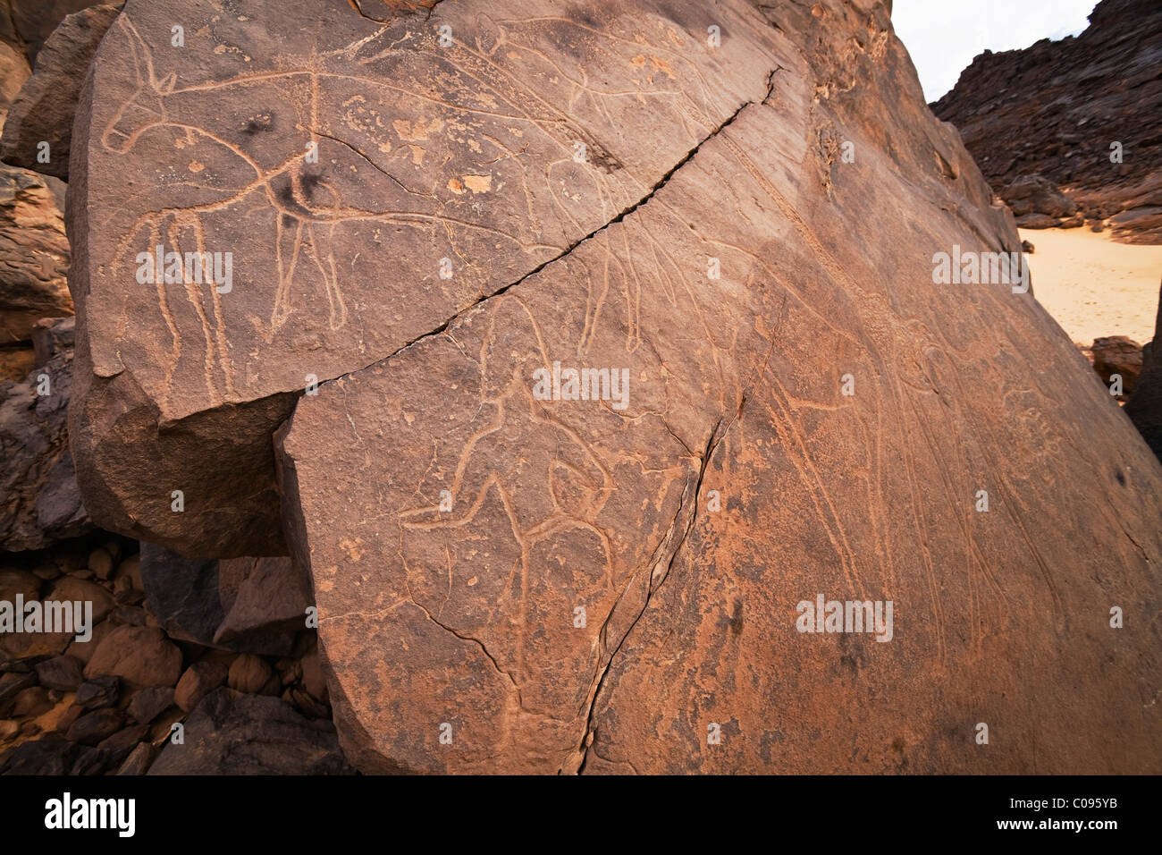 Stone engravings in the Libyan stone desert, elephants, Tassili Maridet ...