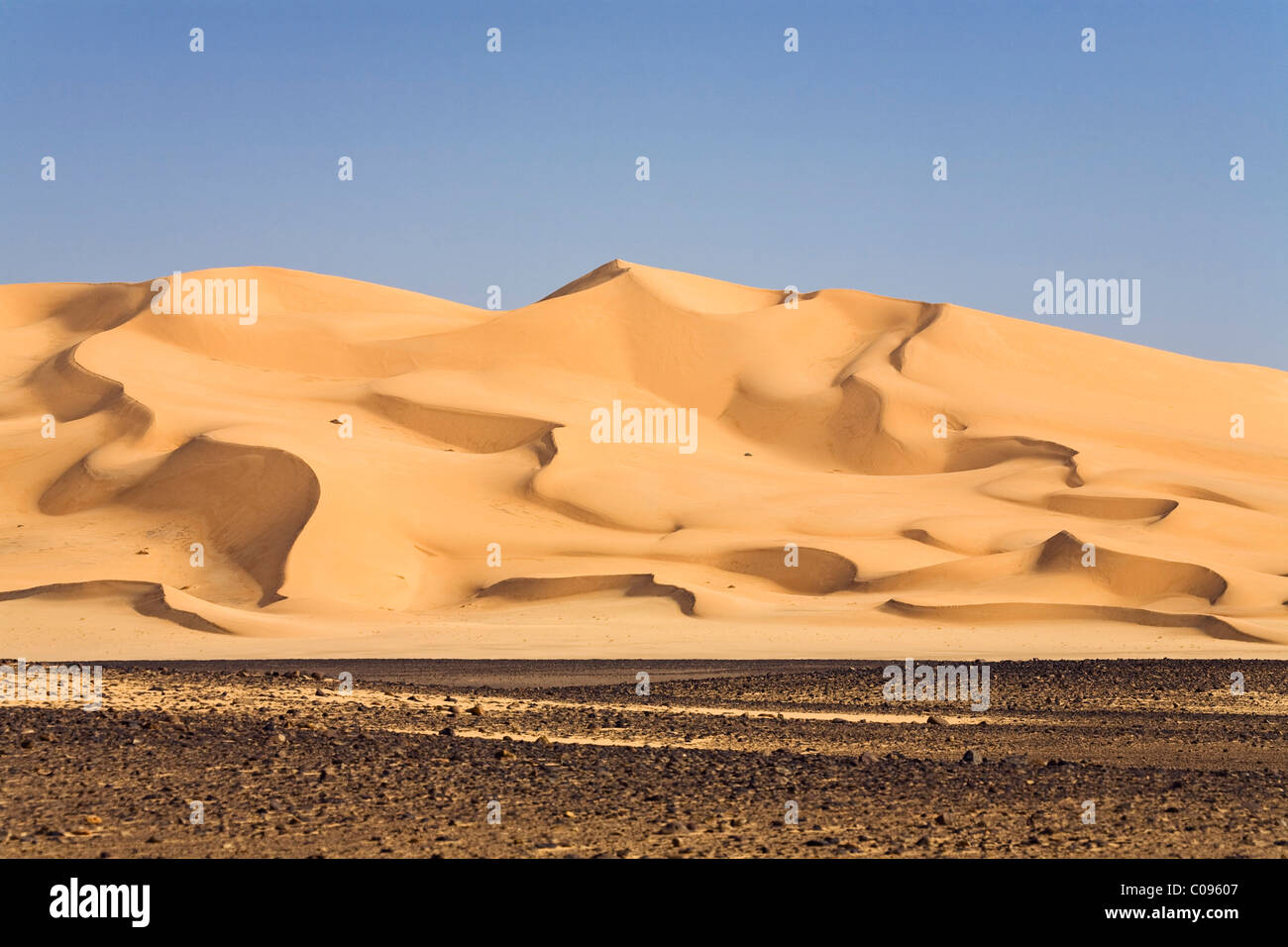 Libysc hi-res stock photography and images - Alamy