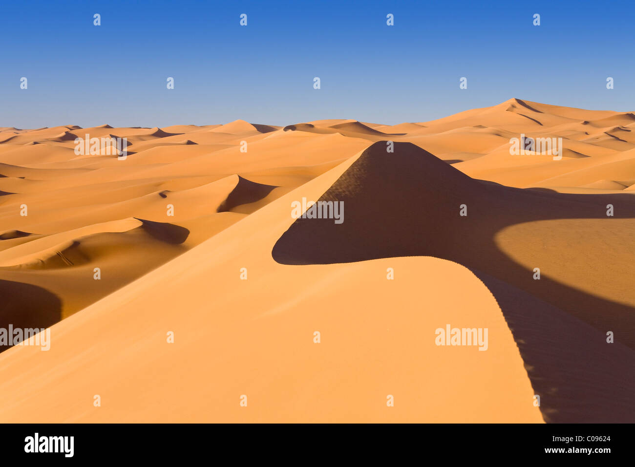 Africa Sahara Desert