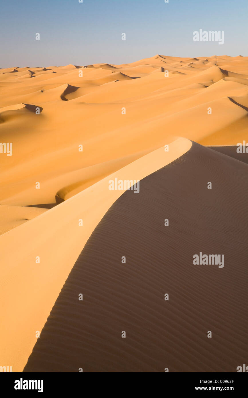 Sand dunes in the Libyan Desert, Sahara, Libya, North Africa, Africa ...