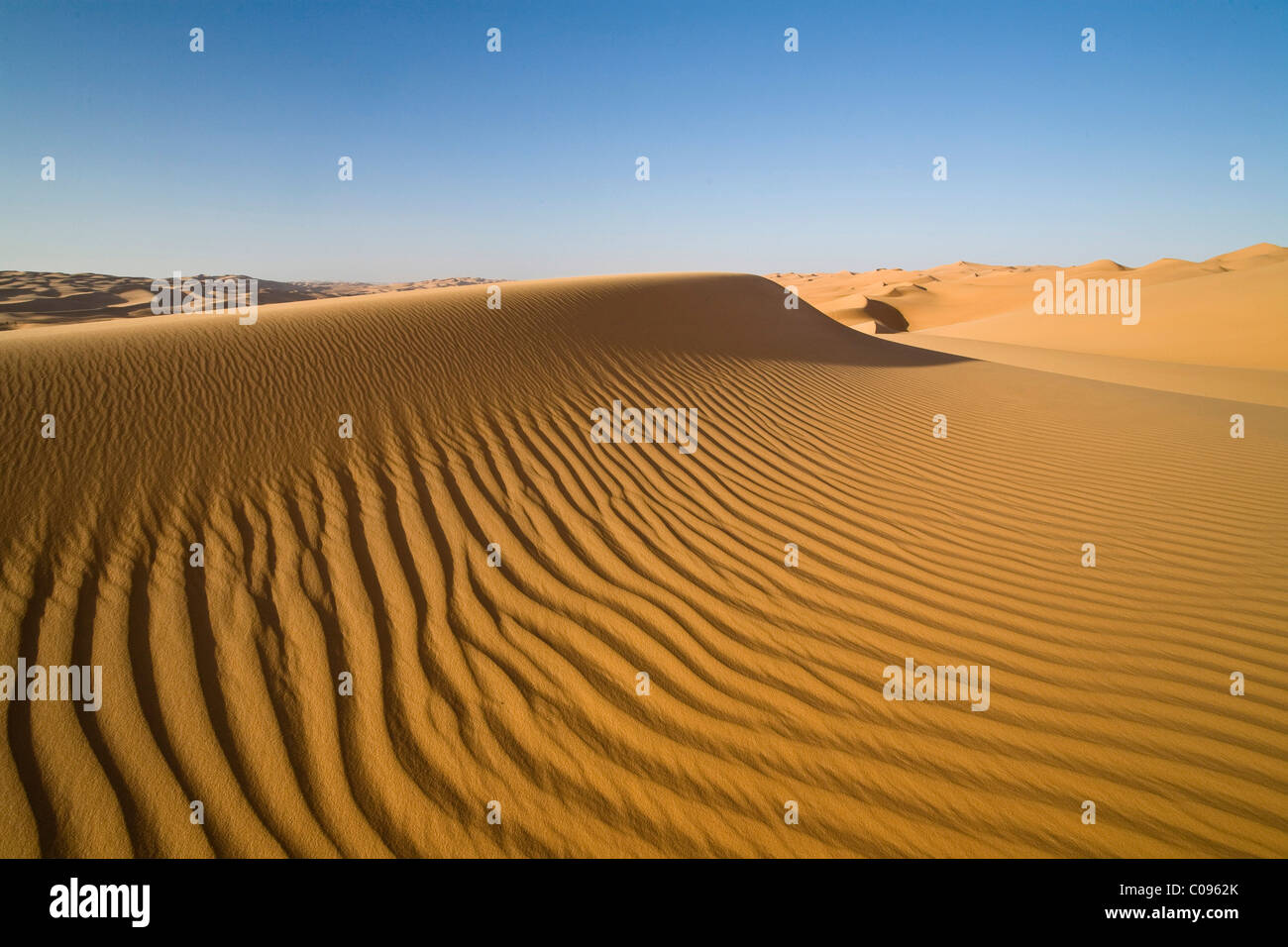 Sand dunes in the Libyan Desert, Sahara, Libya, North Africa, Africa ...
