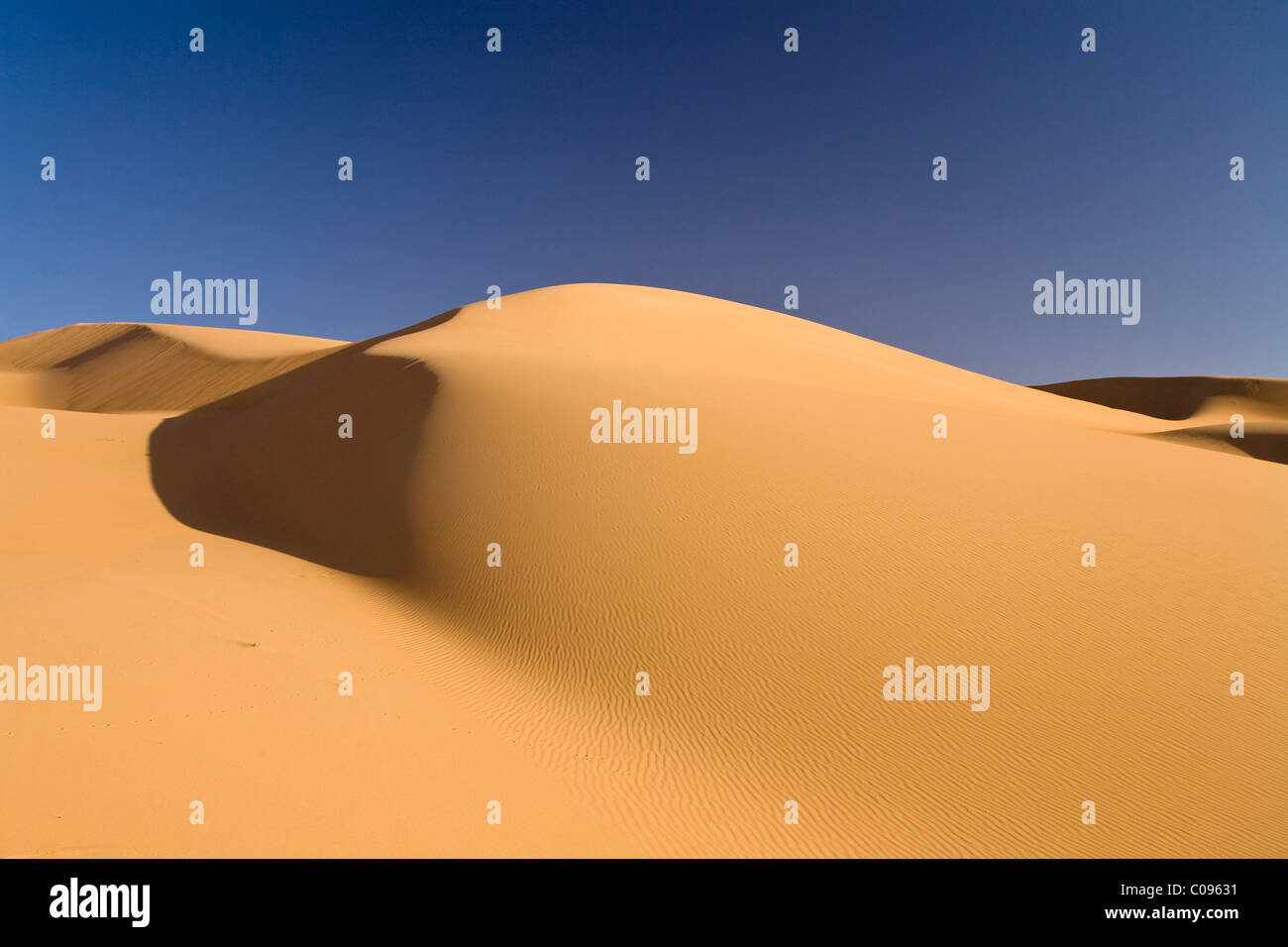 Sand dunes in the Libyan desert, Sahara, Libya, North Africa, Africa ...