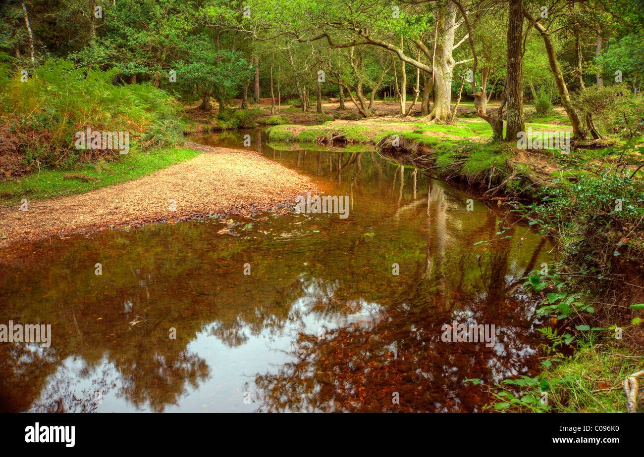 Winding new forest stream hi-res stock photography and images - Alamy