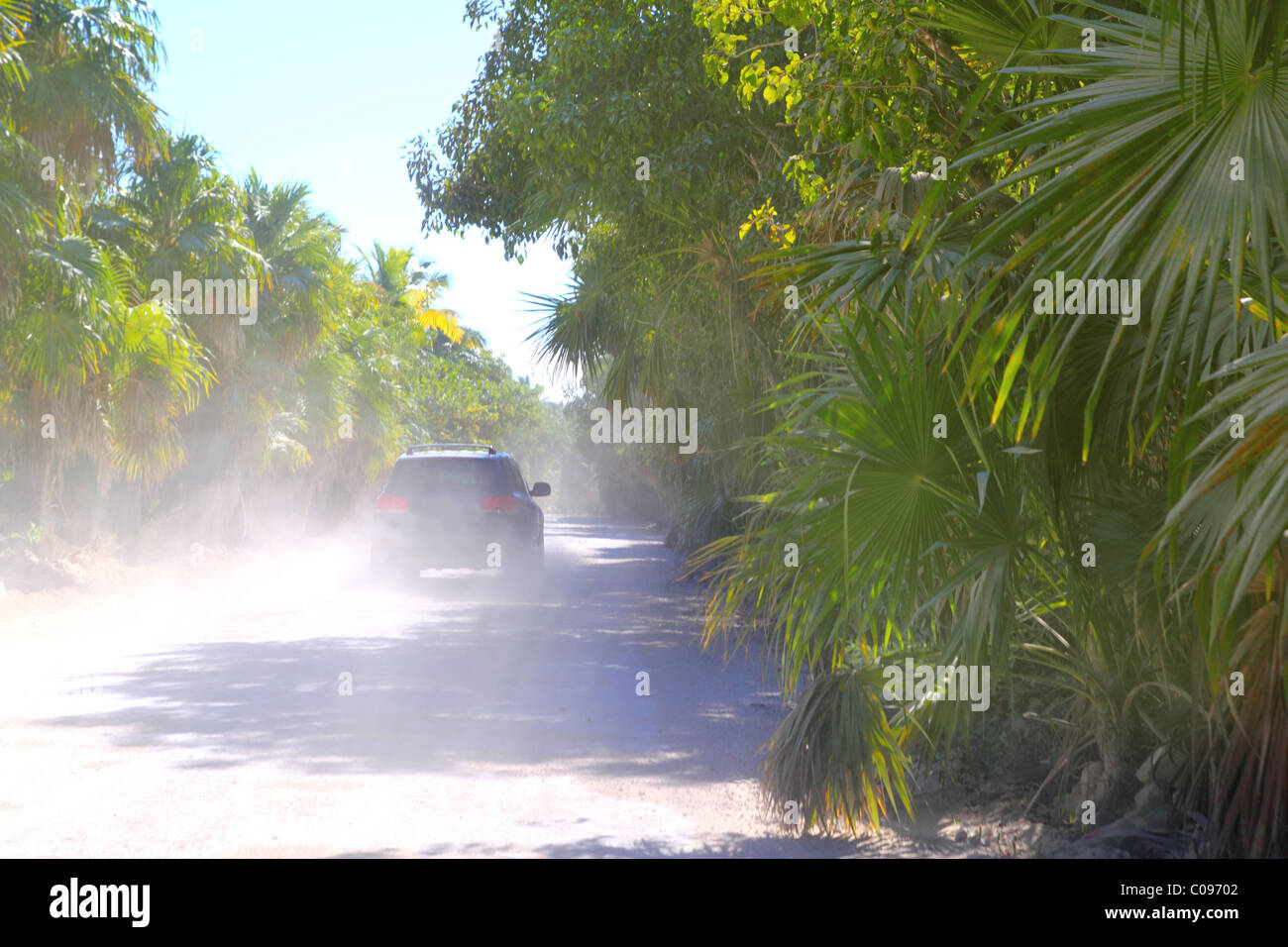 Trees and track hi-res stock photography and images - Alamy
