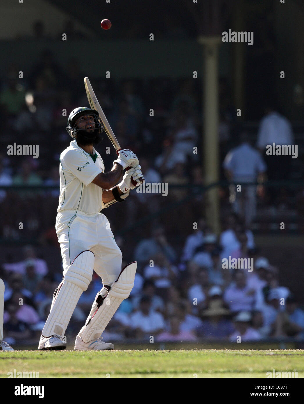Cricket south africa hashim amla hi-res stock photography and images ...
