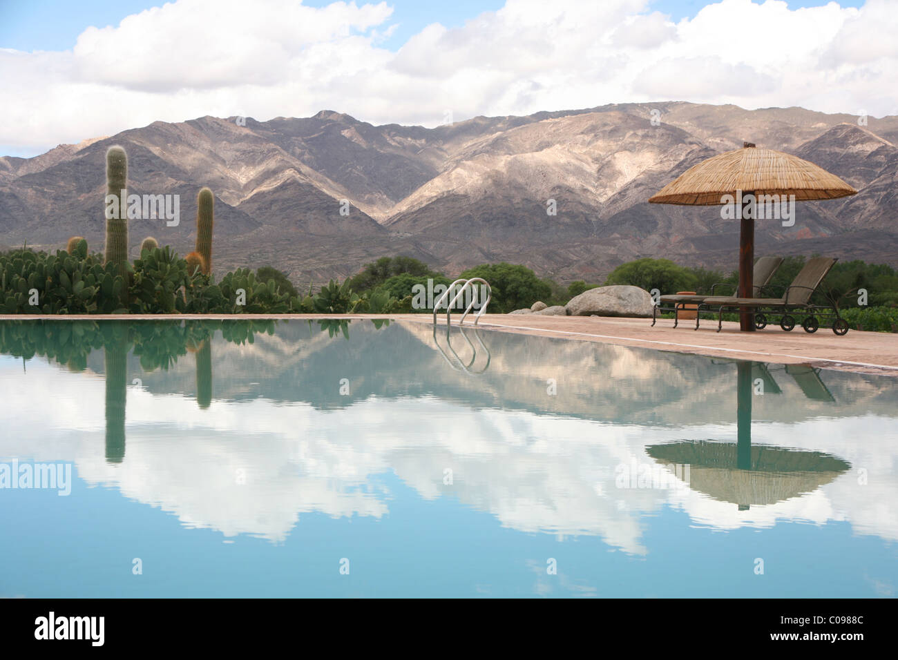 Salta argentina vineyard hi-res stock photography and images - Alamy