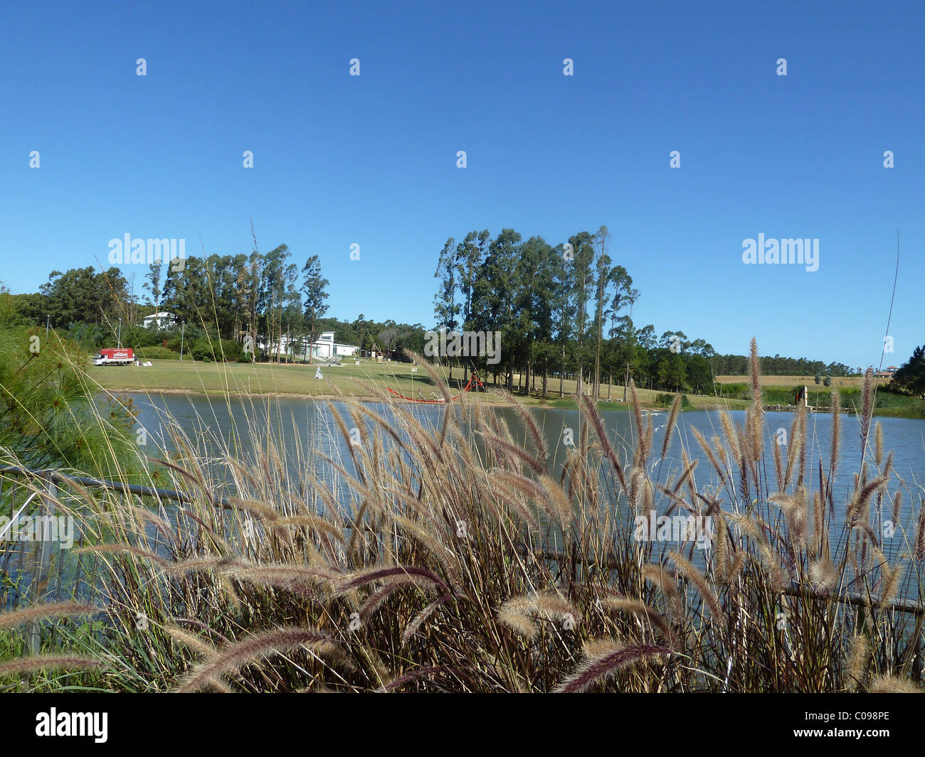 La barra hi-res stock photography and images - Alamy