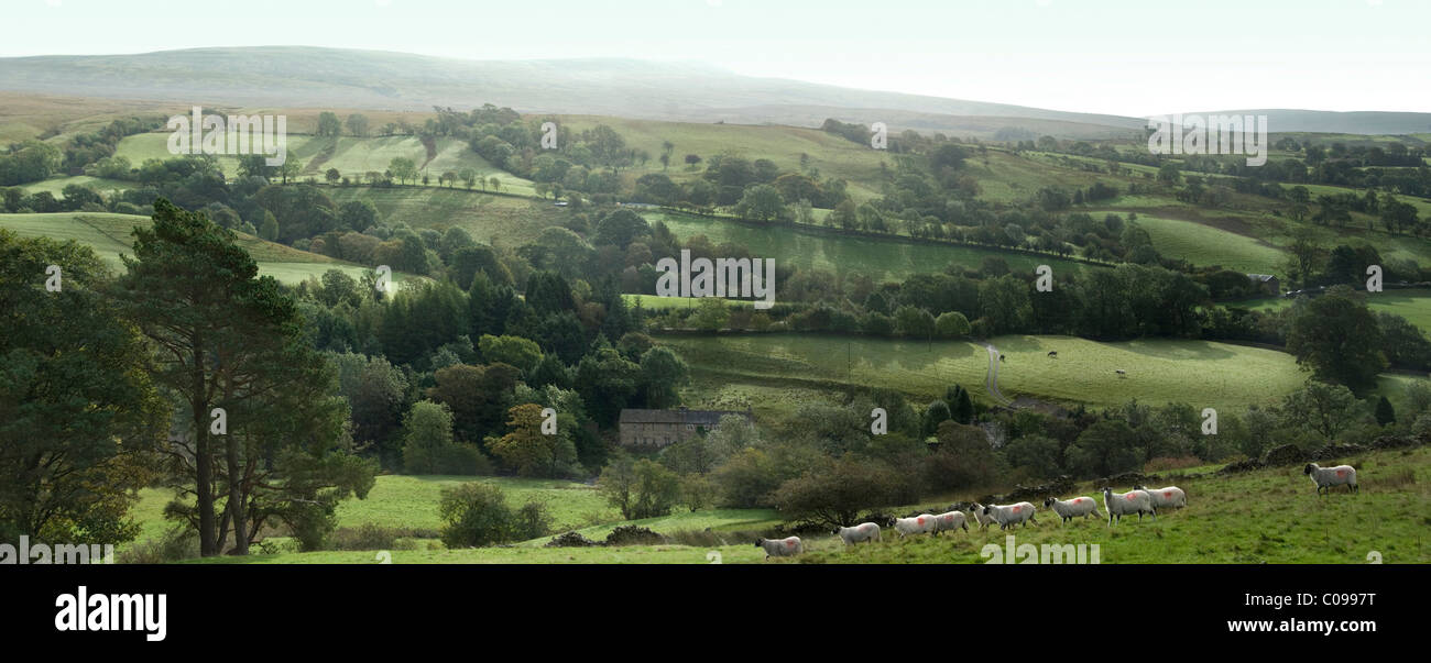 Howgill Fells, Yorkshire Dales National park, England Stock Photo - Alamy