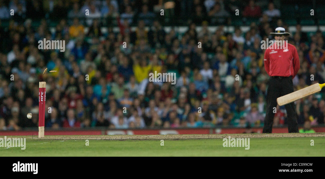 Australian wicket Keeper Brad Haddin runs out New Zealand batsman James ...