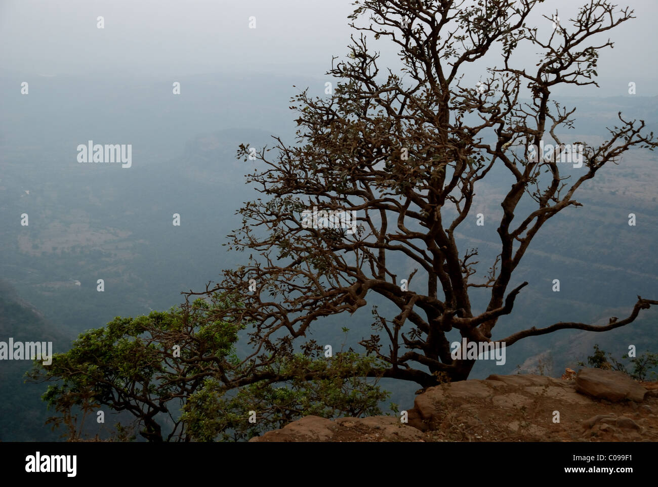 Konkan Stock Photos & Konkan Stock Images - Alamy