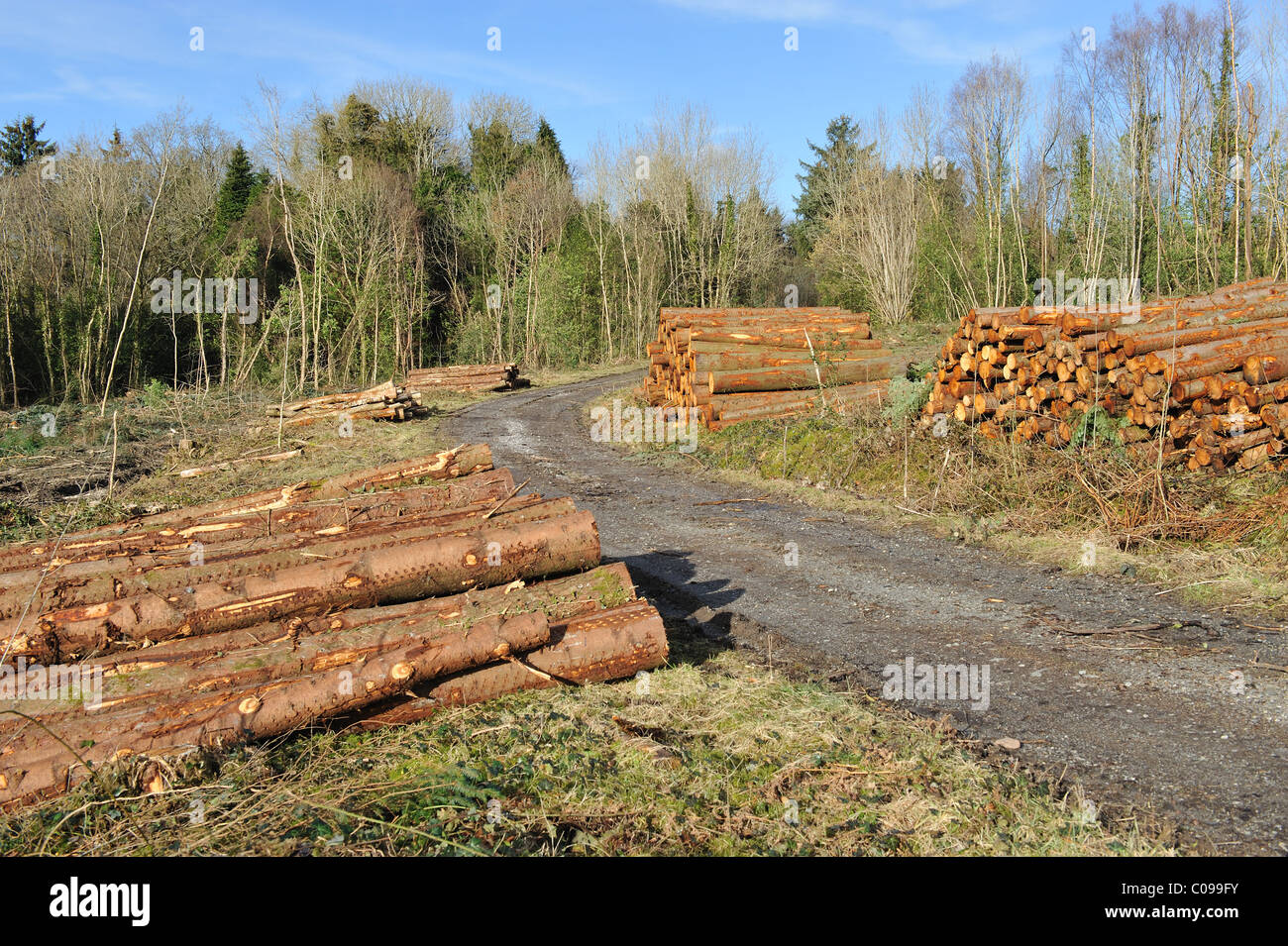 Killykeen forest park hi-res stock photography and images - Alamy