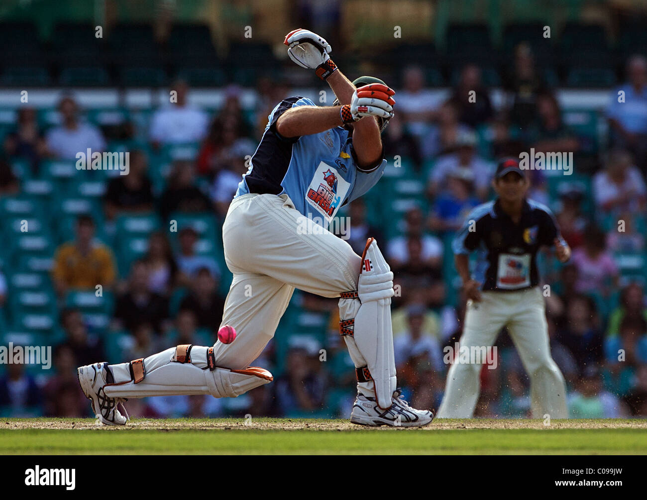 Matthew Hayden loses his bat and his wicket during Australia's Big Bash ...