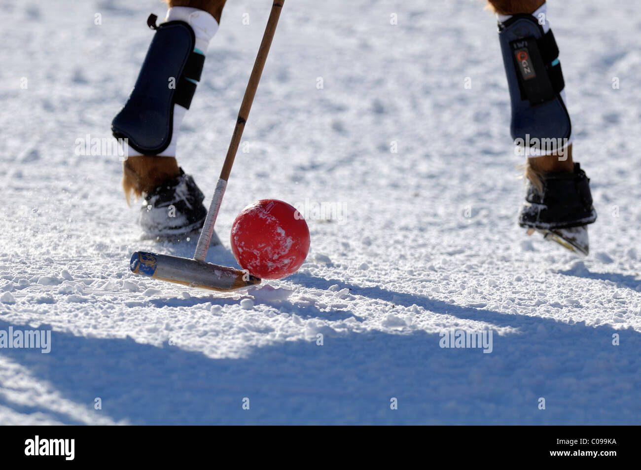 Polo ball polo horse polo hi-res stock photography and images - Alamy