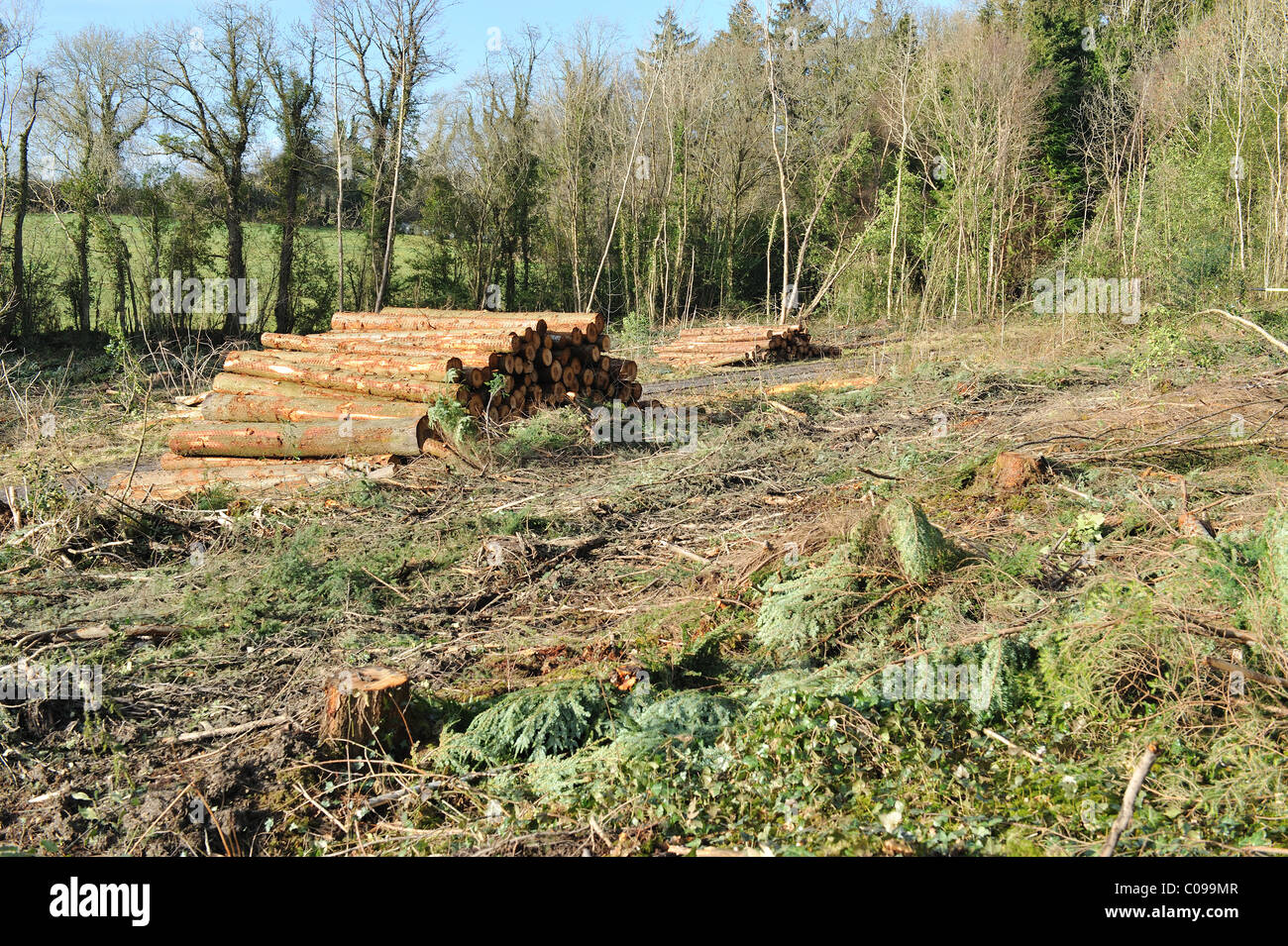 Killykeen forest park hi-res stock photography and images - Alamy