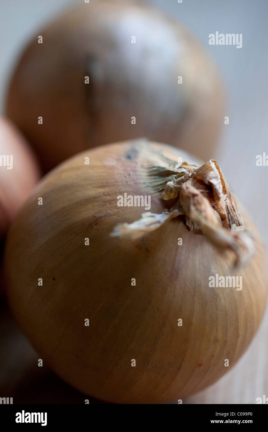 Several round onions hi-res stock photography and images - Alamy