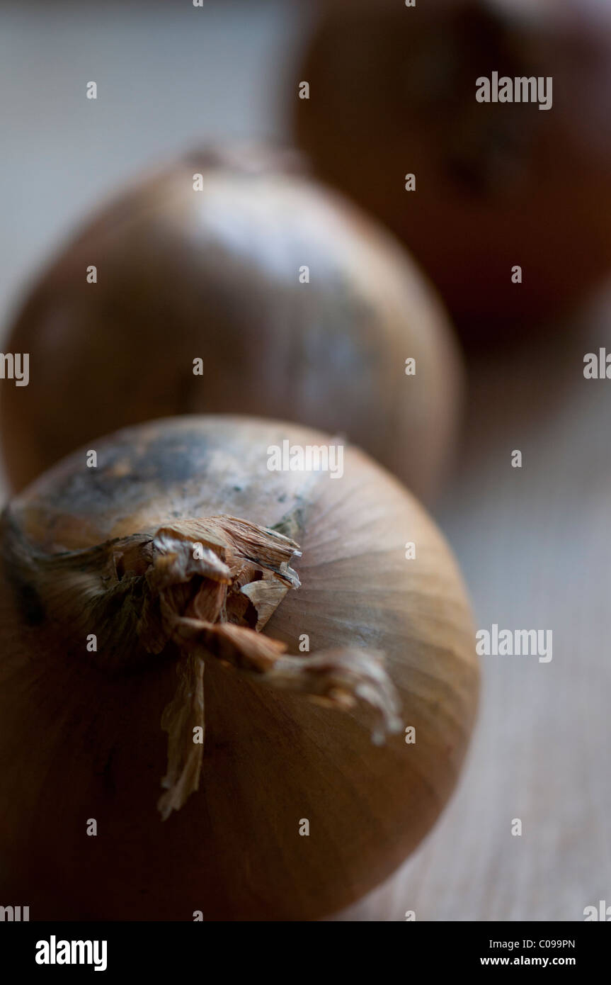 Several onions hi-res stock photography and images - Alamy