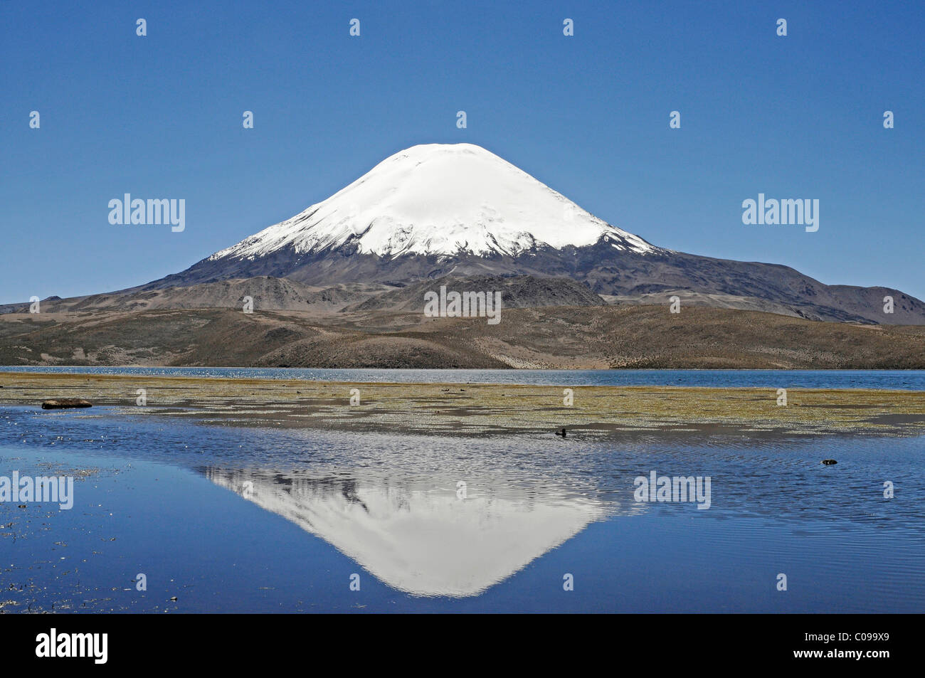 Parinacota Volcano, reflection in Lake Chungara, Lauca National Park ...