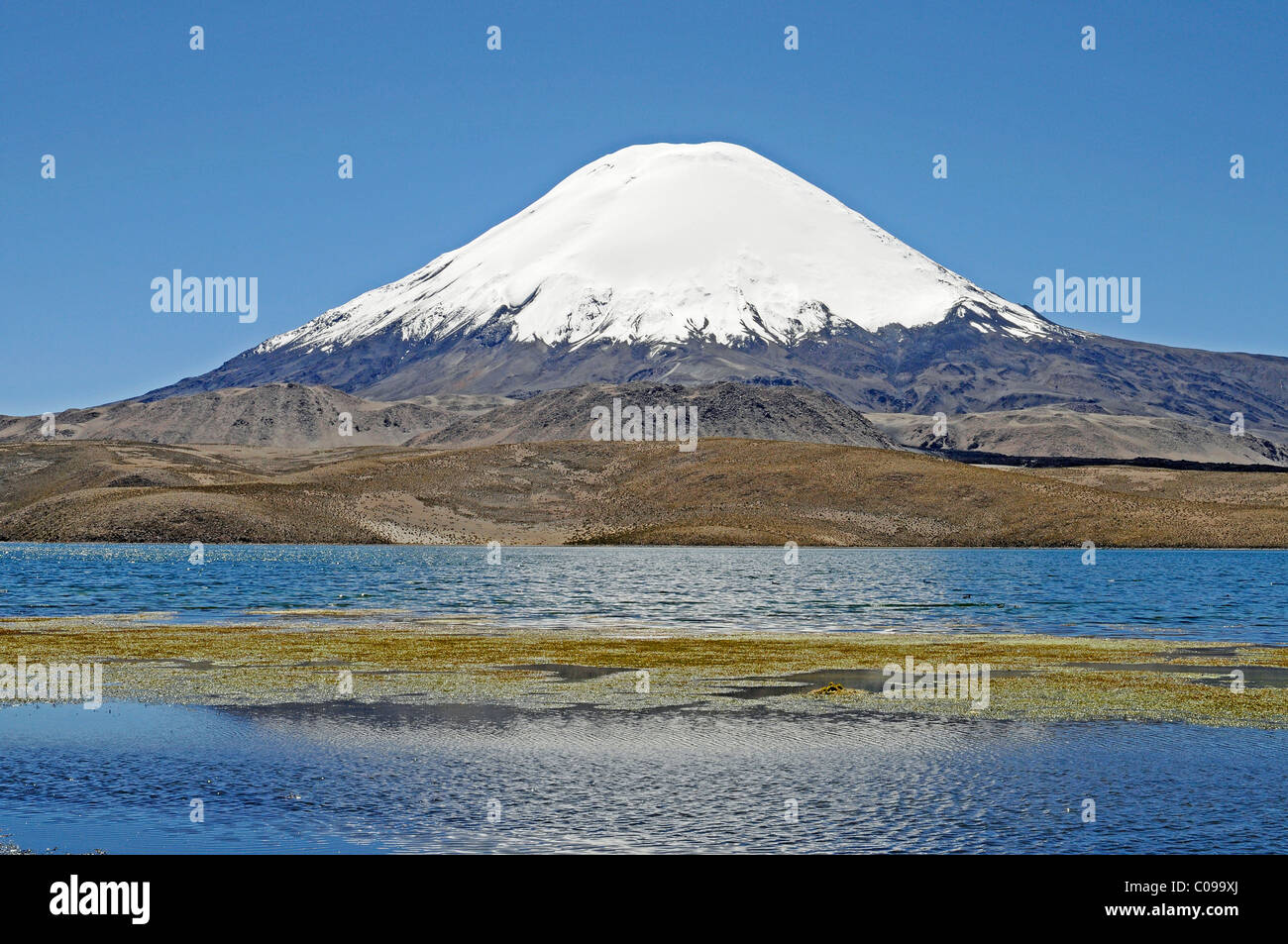Parinacota Volcano, Lake Chungara, Lauca National Park, Altiplano ...