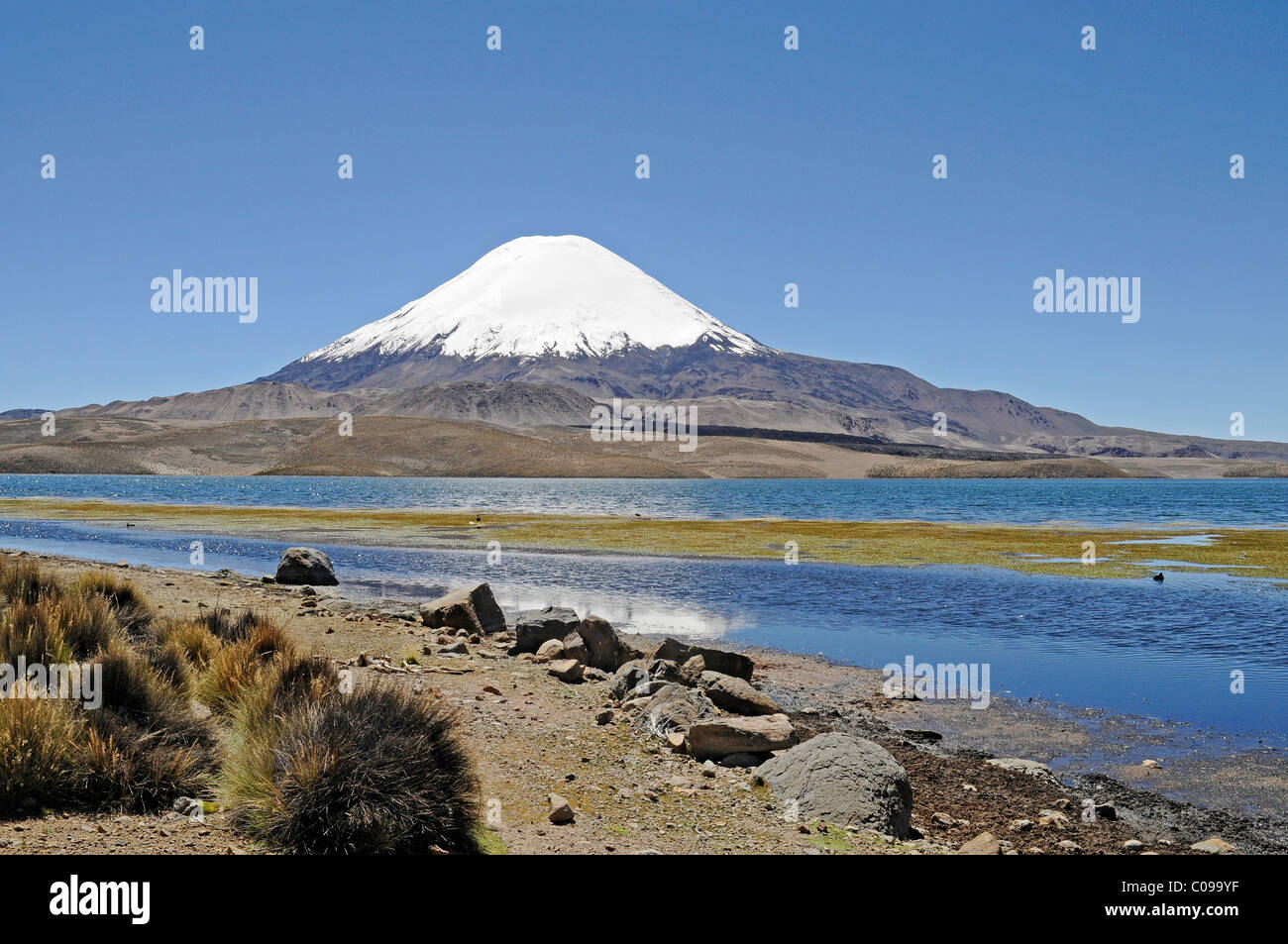Parinacota Volcano, Lake Chungara, Lauca National Park, Altiplano ...