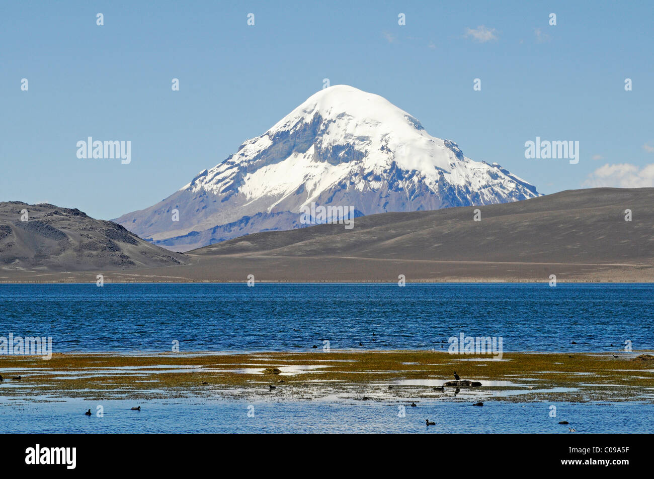 View of the Cerro de Quisiquisini volcano, Bolivia, Lake Chungara ...