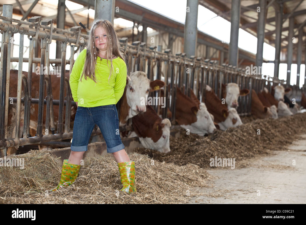 Girl Feeding A Cow High Resolution Stock Photography and Images - Alamy