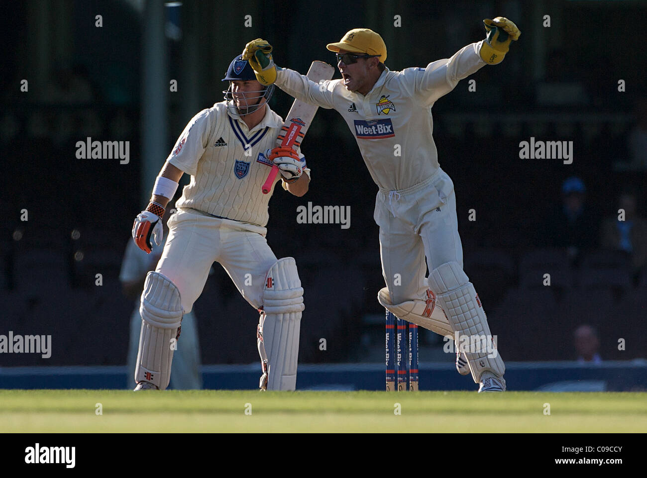 Western Australian wicket keeper Michael Johnson celebrates the ...