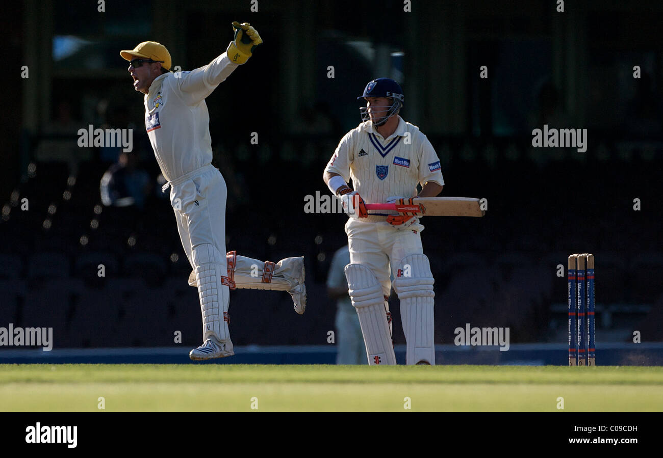 Western Australian wicket keeper Michael Johnson celebrates the ...