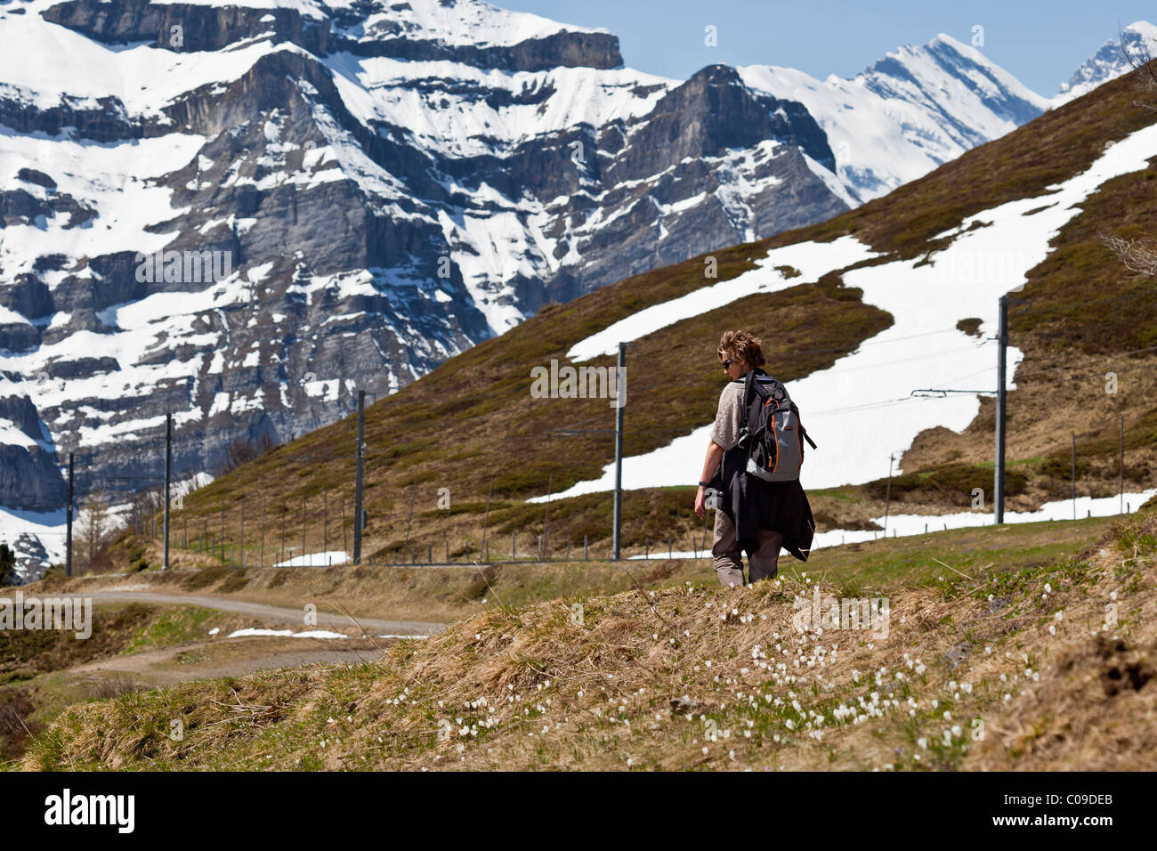 Single woman hiking alone in the Swiss Alps Stock Photo - Alamy