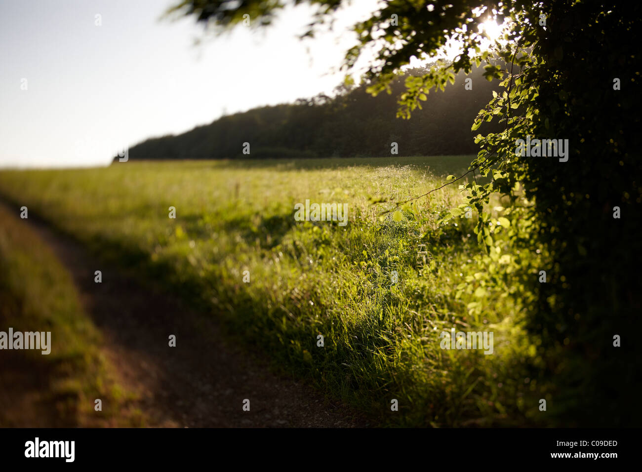 Photo out in the country hi-res stock photography and images - Alamy