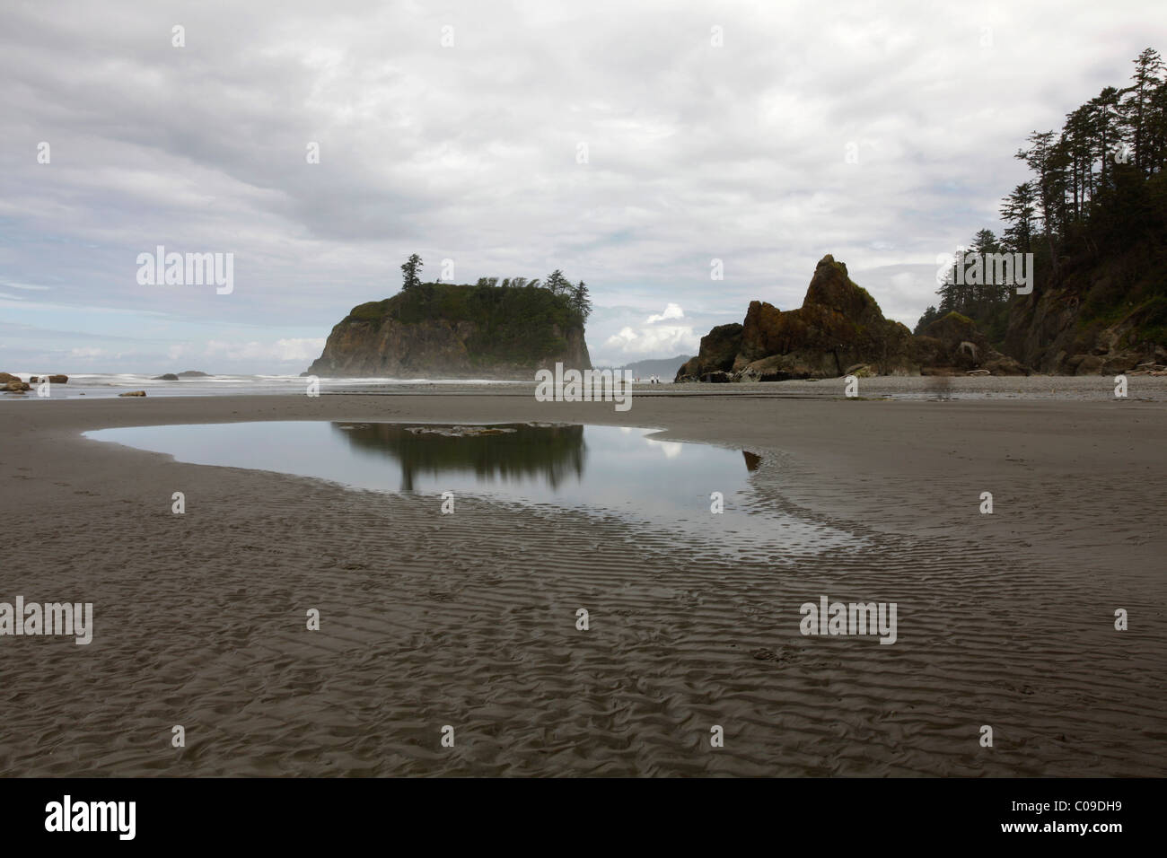 Ruby Beach, Forks, Olympic Peninsula, Washington, USA Stock Photo - Alamy