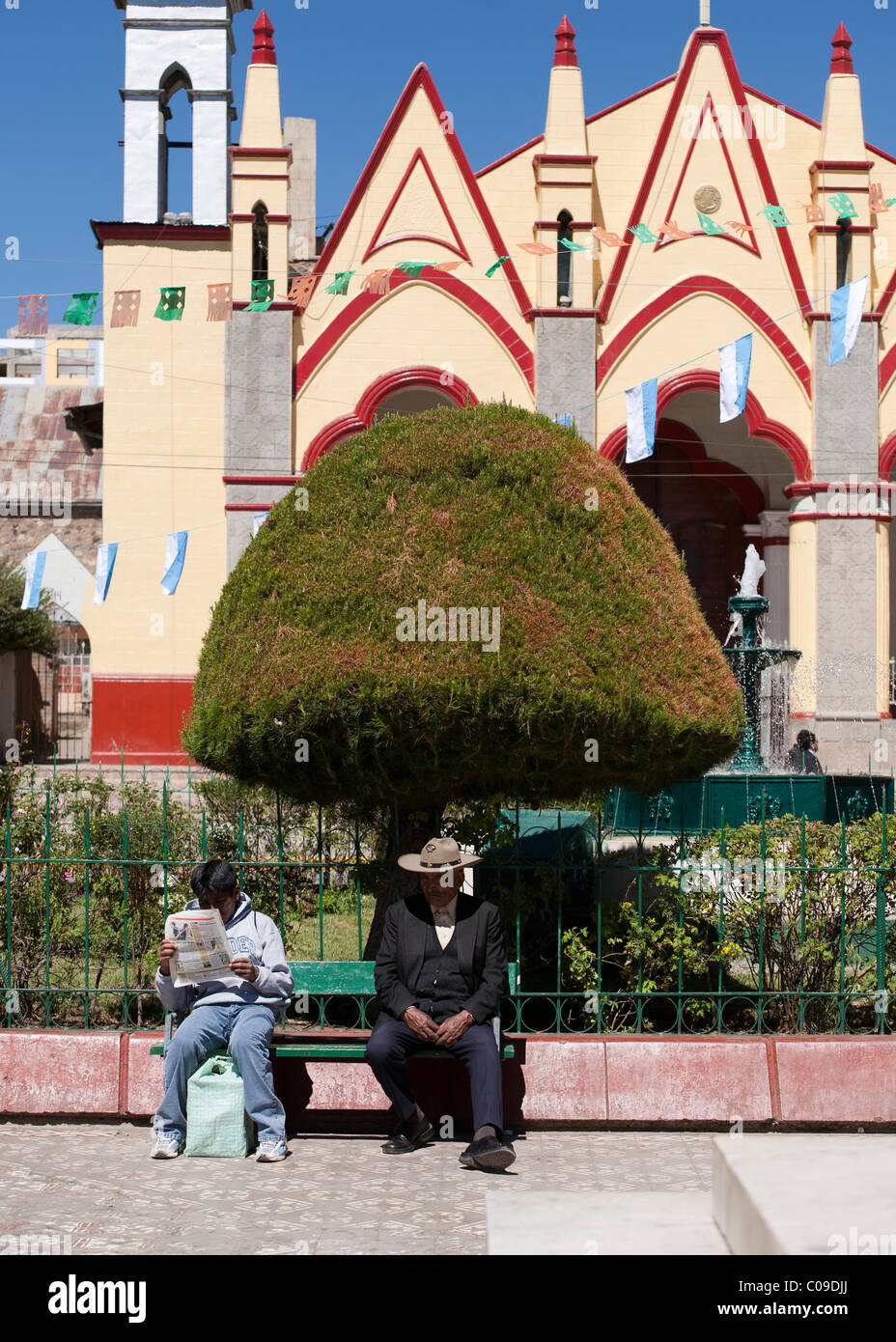 Peruvian locals sit under a tree in Pino Park in central Puno Stock ...