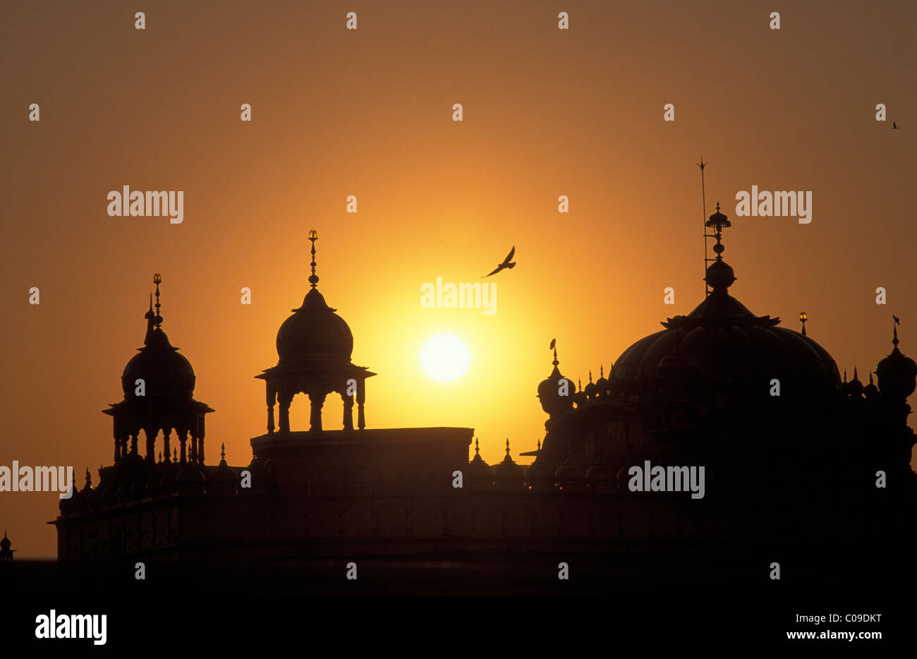 Domes golden temple shrine sikh hi-res stock photography and images - Alamy