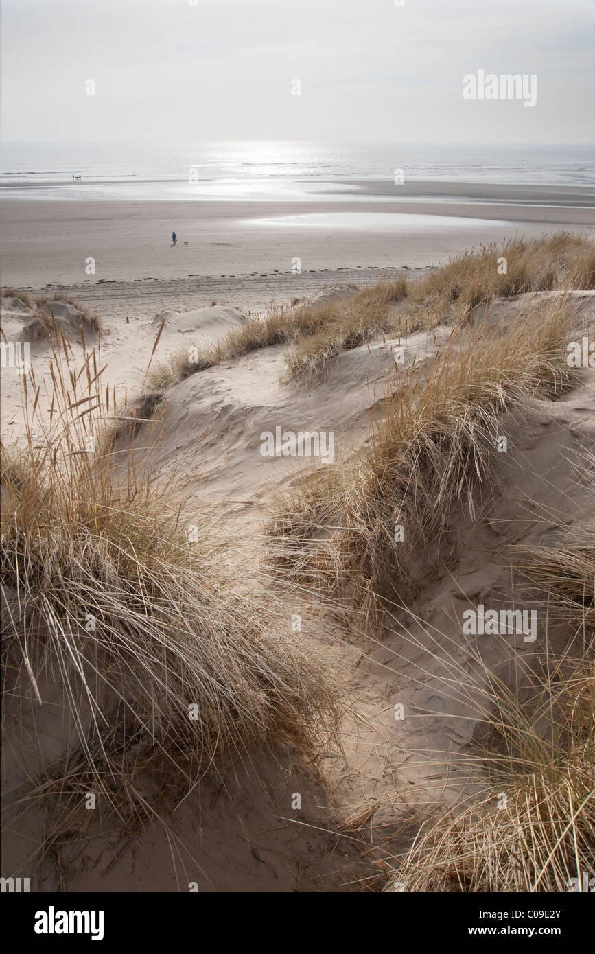Marram grass sand dunes hi-res stock photography and images - Alamy