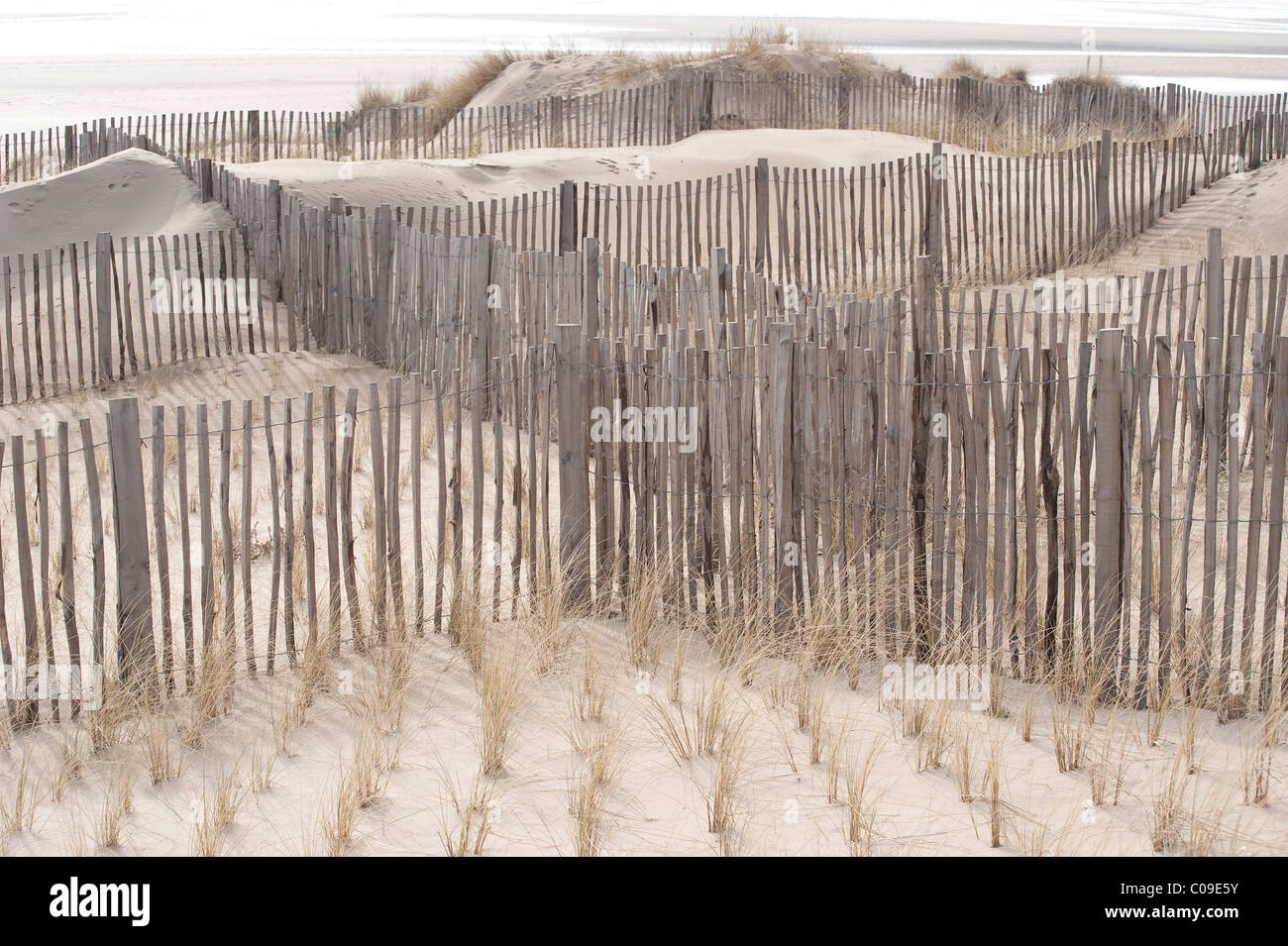 Marram grass erosion hi-res stock photography and images - Alamy