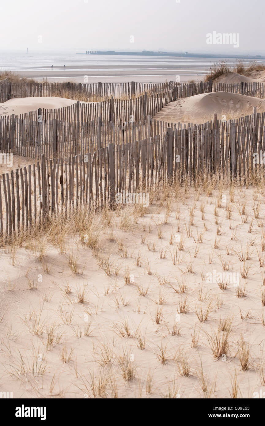 Marram grass erosion hi-res stock photography and images - Alamy