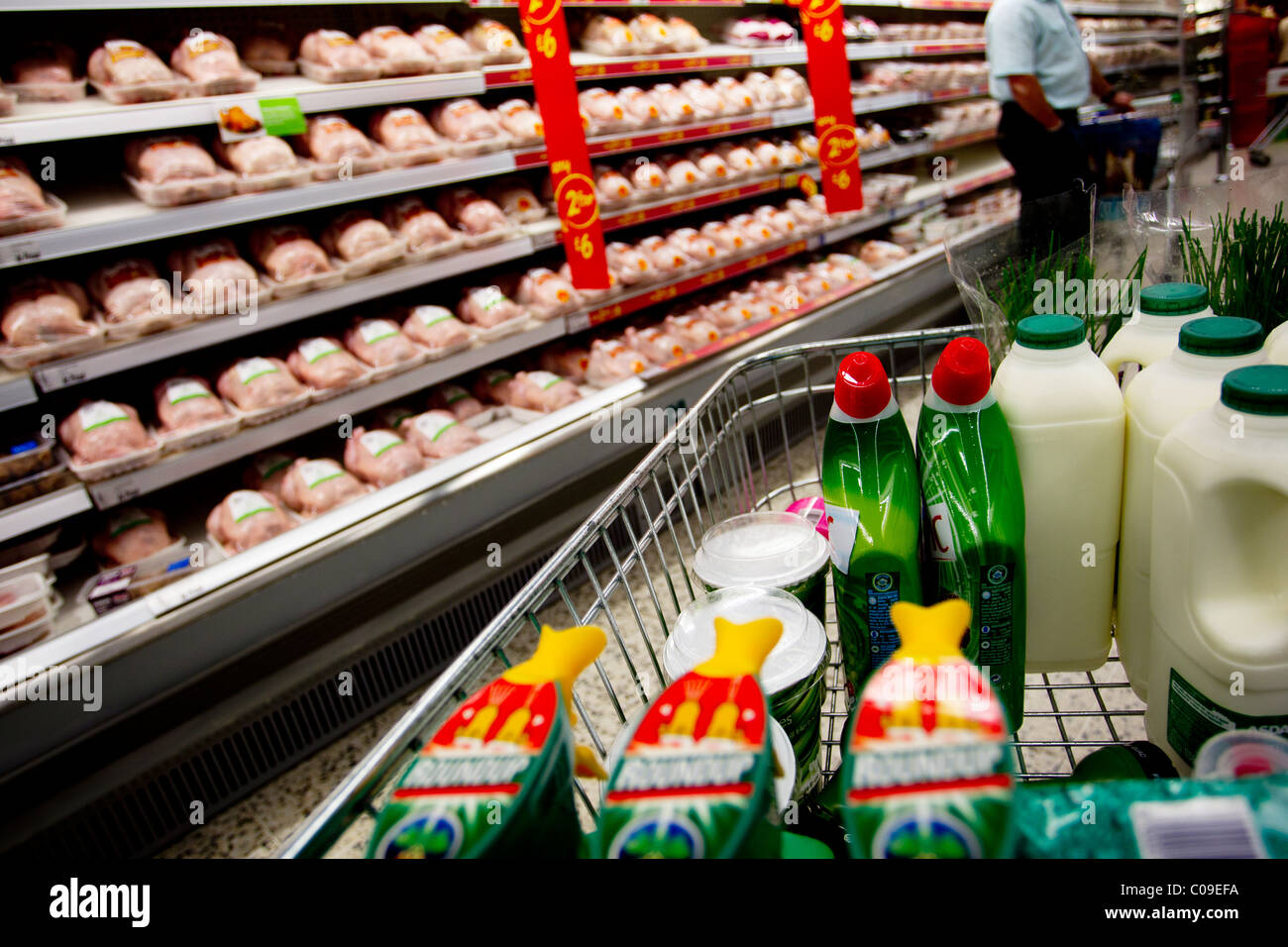 Super Market trolley with shelves full of chicken on offer at ASDA ...