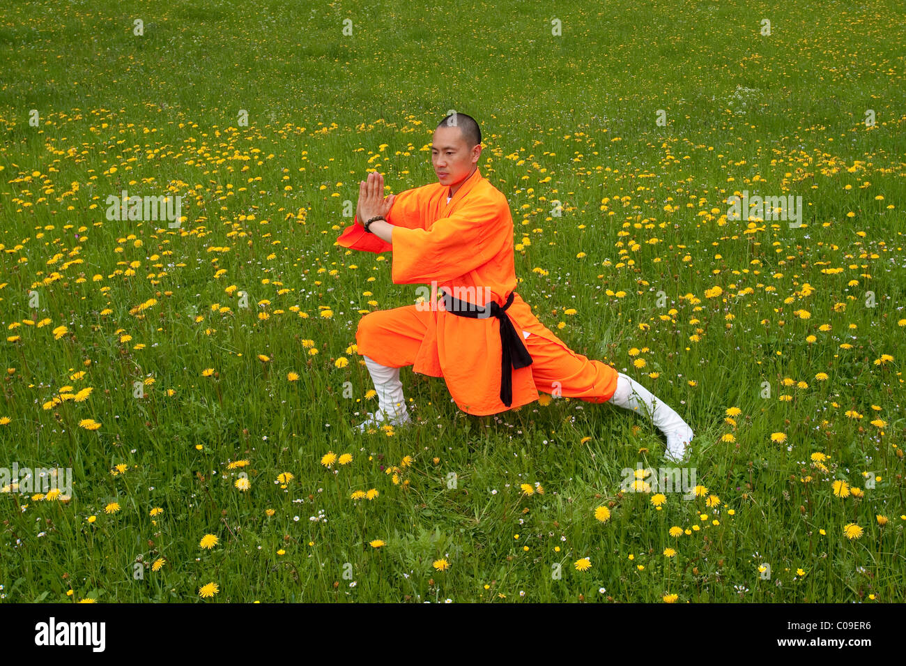 Chinese chan buddhist monk hi-res stock photography and images - Alamy