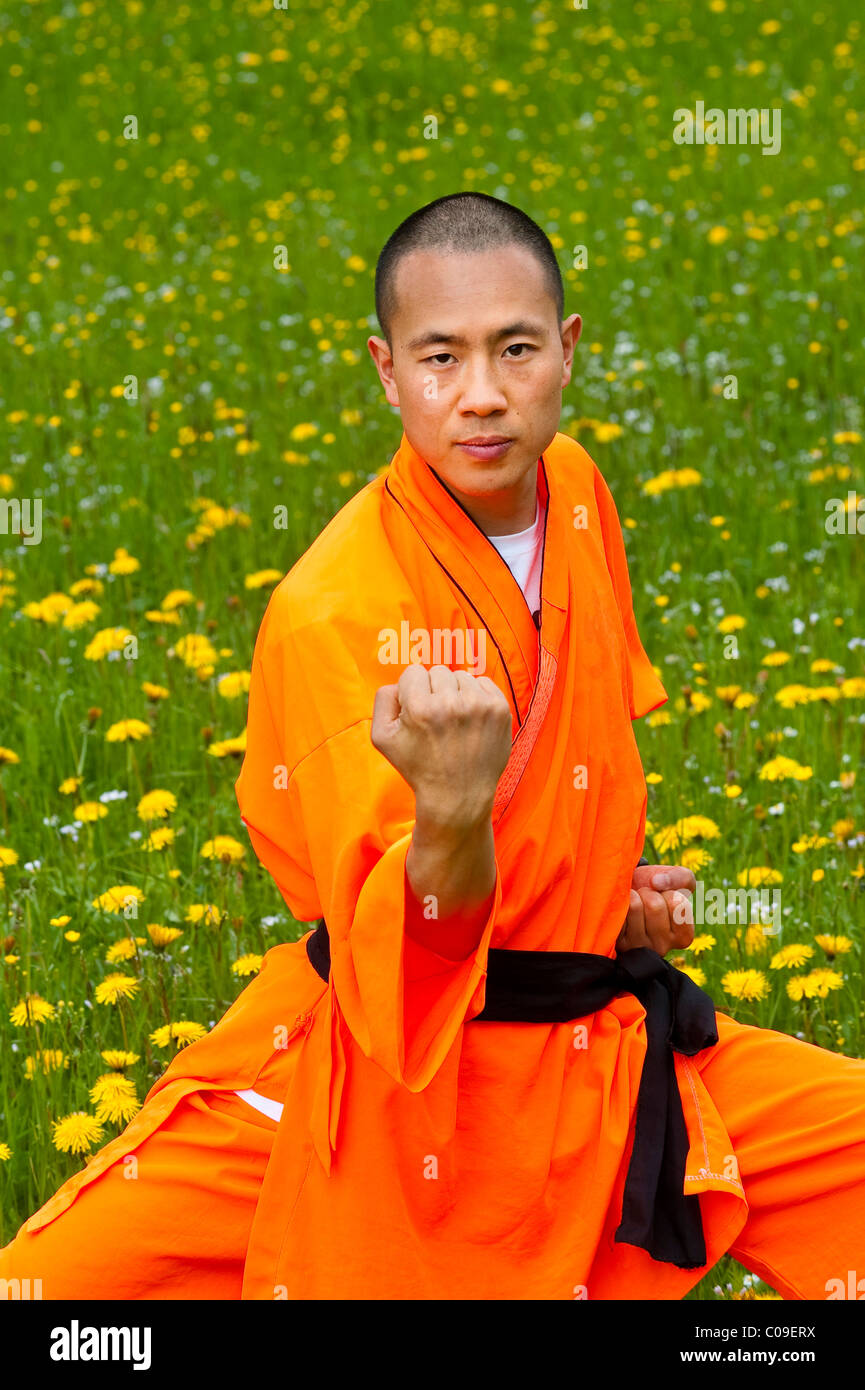 Chinese chan buddhist monk hi-res stock photography and images - Alamy