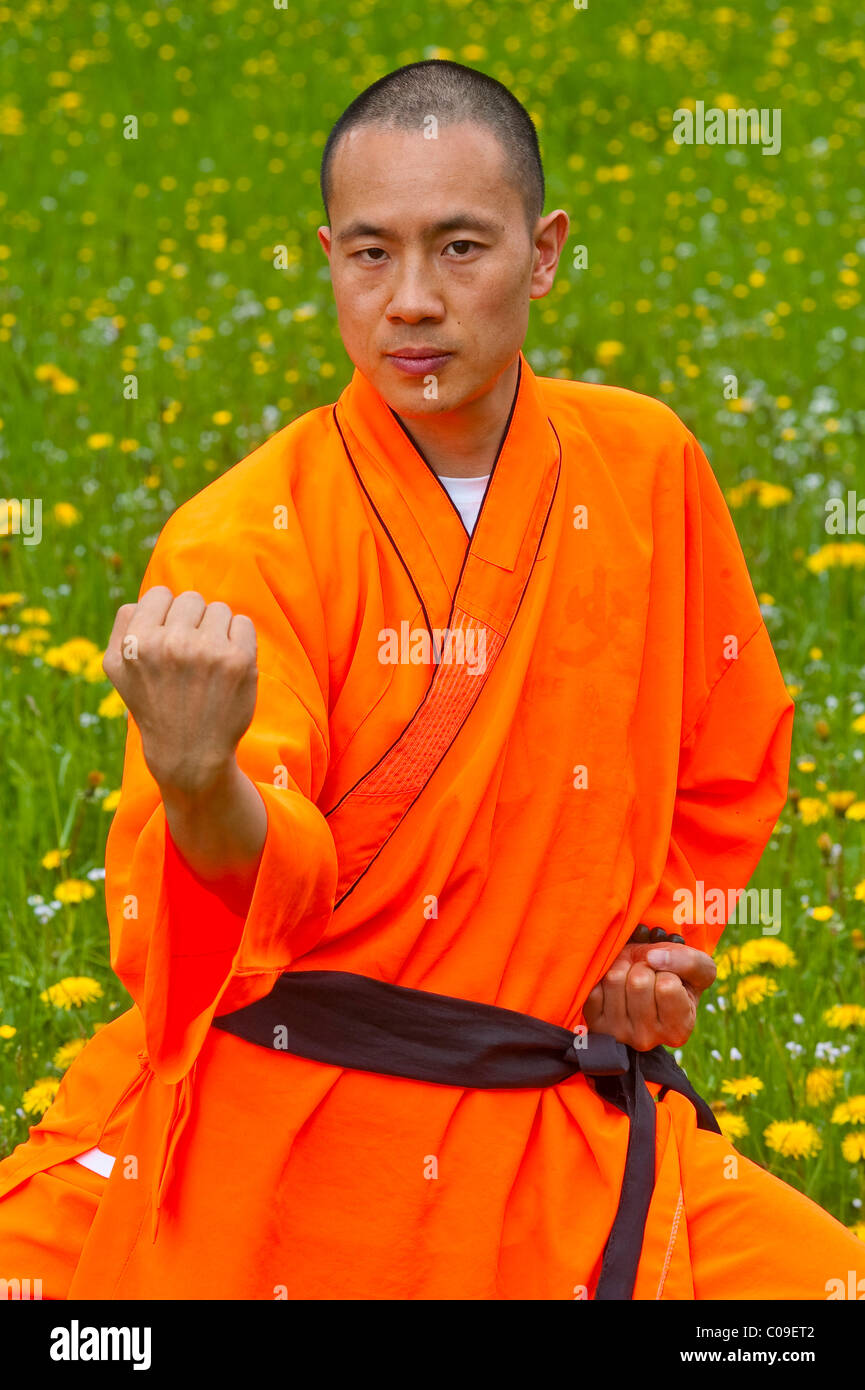 Chinese chan buddhist monk hi-res stock photography and images - Alamy