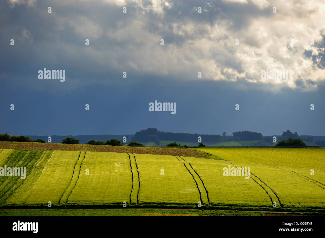 Ambient nature atmosphere hi-res stock photography and images - Alamy