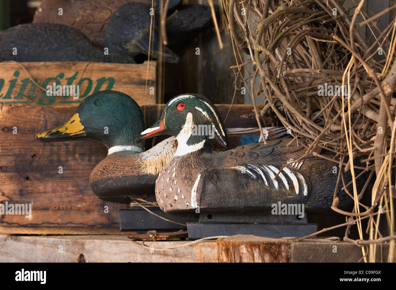 Duck decoys hi-res stock photography and images - Alamy