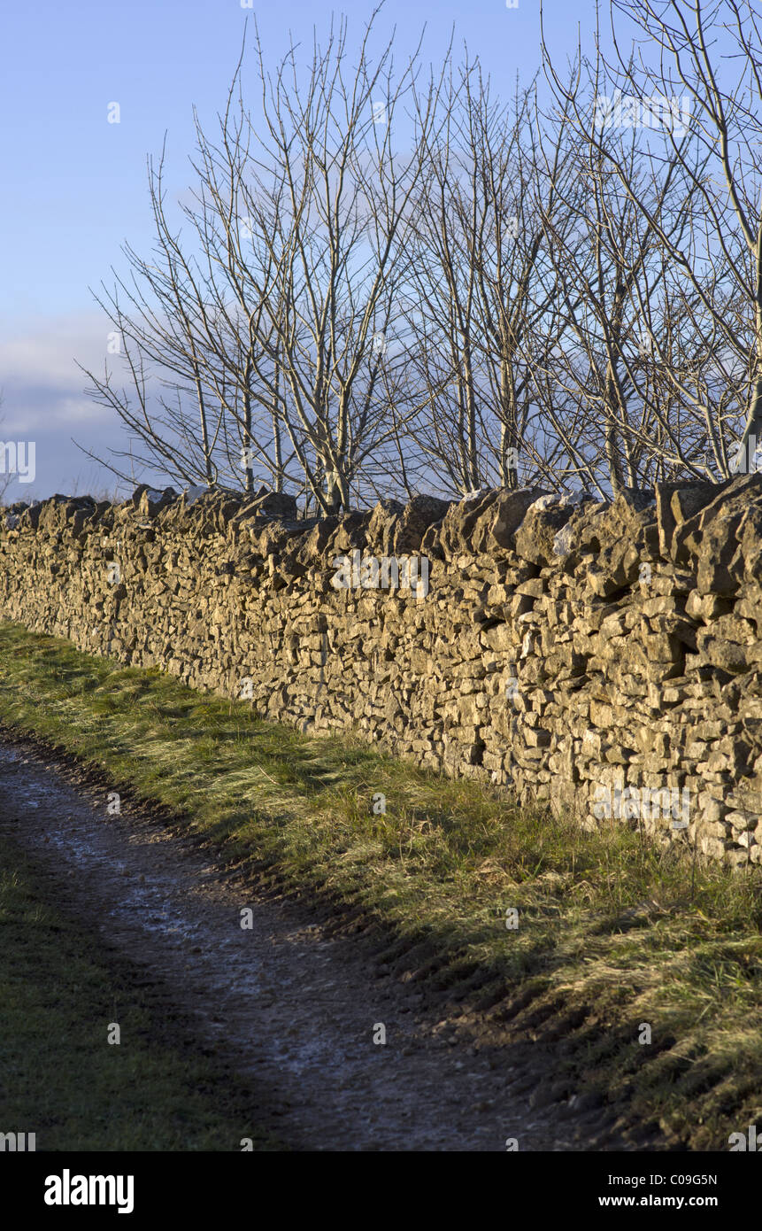 dry stone wall cotswold cotswolds Stock Photo - Alamy